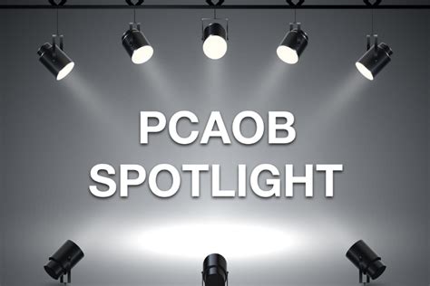 Performing A Quality Audit Pcaob Spotlight Gaap Dynamics
