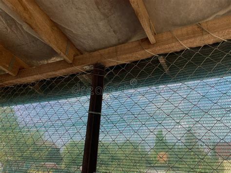 Installation Of Mosquito Netting Stock Image Image Of Plastic