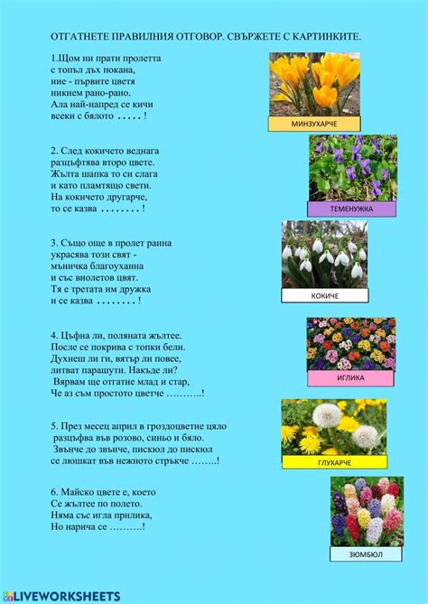 Flower Riddles Interactive Worksheet