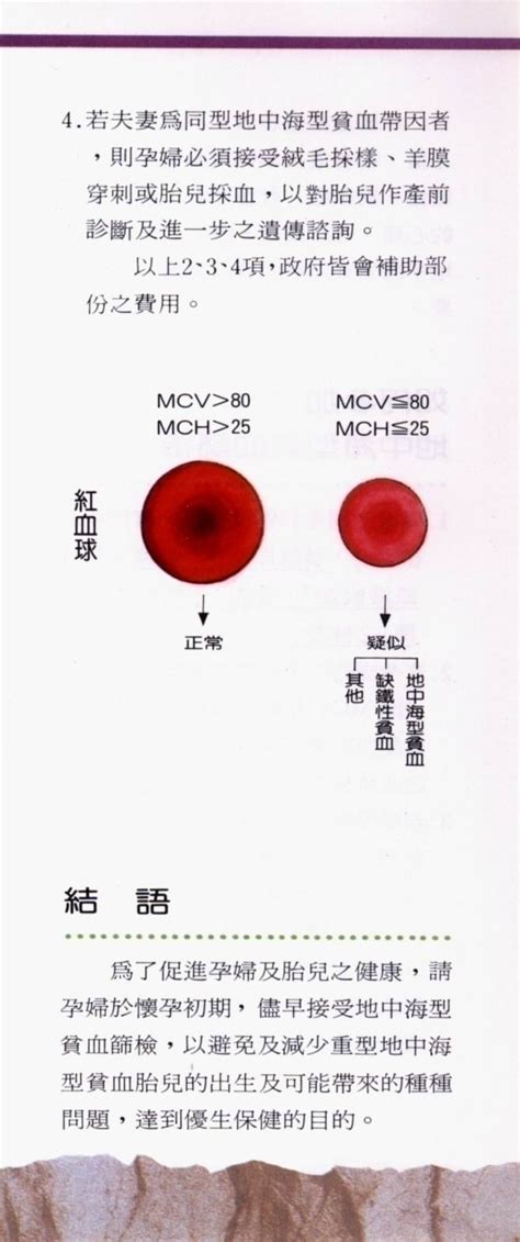 地中海型海洋性貧血篩檢孕婦篇 Dr Yang 楊麗姝中醫網路醫院