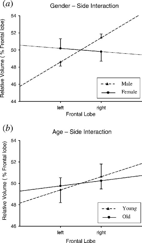 Illustrations Of Age Side And Sex Side Interactions In Relative Frontal Download Scientific