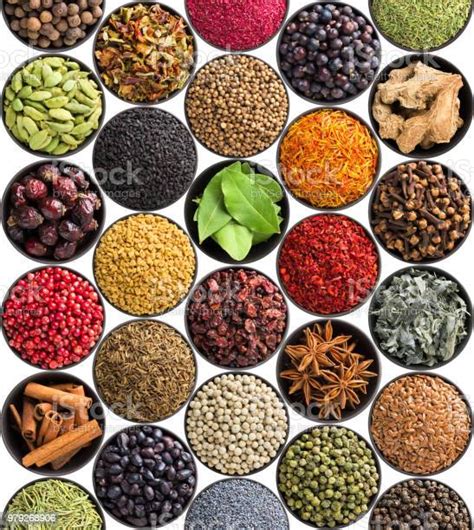 인도 향신료와 허브 흰색 절연의 집합입니다 아시아 음식 상위 뷰 조미료 가루로 빻은에 대한 스톡 사진 및 기타 이미지 가루로 빻은 개체 그룹 건강한 식생활 Istock