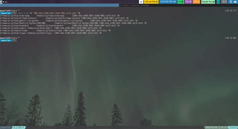 Запускаем свой Gopher сервер Lighthouse Software