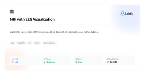 Mri With Eeg Visualization Unlocking The Power Of Python Matplotlib