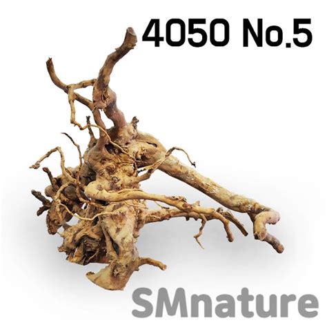 Sm 뉴 넘버링 유목 4050 No5 상아쿠아