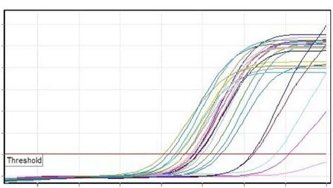 Real Time Pcr Gapdh Gene The Horizontal Axis Of The Curve Shows The Download Scientific Diagram