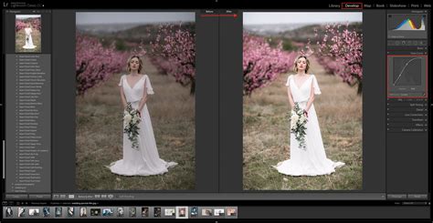 Using The Rgb Curve To Enhance A Lightroom Preset