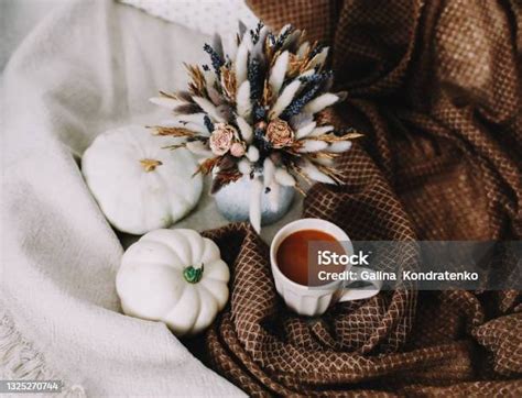 가을에는 꽃과 호박이 있는 커피 컵과 함께 침대에 누워 있는 아늑한 격자무늬가 있습니다 세련된 가을 플랫 레이 10월에 대한 스톡 사진 및 기타 이미지 Istock