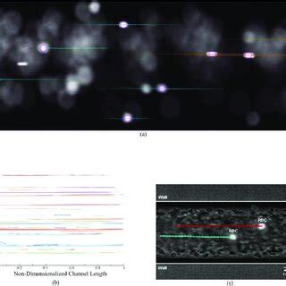 Examples Of Particle Tracking A Particle Tracking Image Still Of