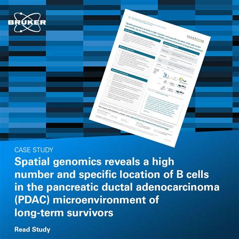 Combining Gene Expression With Spatial Profiling For Better Biomarkers Bruker Spatial Biology