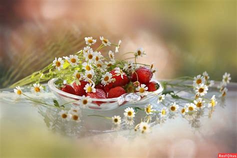 Светлой субботы красивые картинки 44 фото Юмор позитив и много смешных картинок