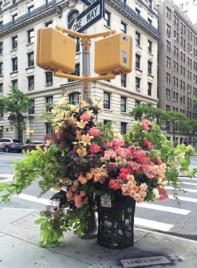 Flowers Tumbex