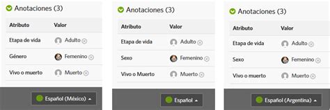 Sex Annotation Translated To Gender Género In Mexican Spanish