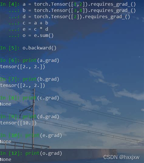 Pytorch 叶子张量 Leaf Tensor 叶子节点 Detachpytorch 叶子节点 Csdn博客
