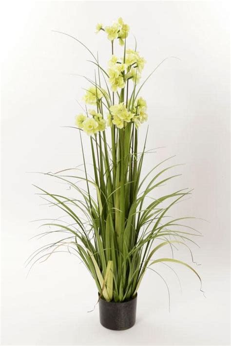 שושקה ‎שושקה‎ Added A New Photo