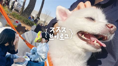 Vlog 직장인 브이로그 생일주간 생일 기념 콘래드 호캉스 뮤지컬 더 라스트 맨 대학로에 가면 하이디라오에 가야지 조카들과 공원나들이 Youtube