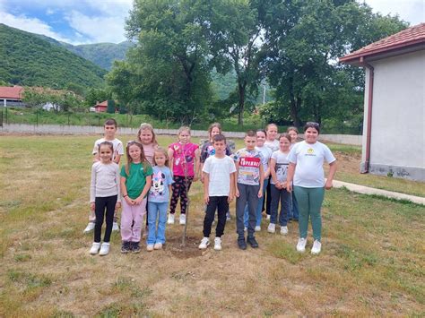 ООУ Видое Подгорец ООУ Видое Подгорец Колешино