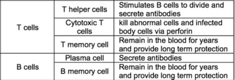 Bio P2 Exam Qs Flashcards Quizlet