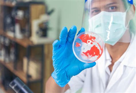 과학자 남자 손을 닫아 유리 페트리 접시 사용 현미경 연구 과학 실험실에서 작물 생화학 과학자는 실험실 화학 의료 실험실에서 곰팡이 유리 페트리 접시를 사용하여 손을