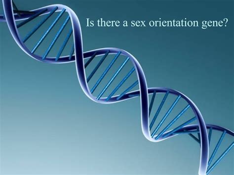Sex Orientation Gene Ppt