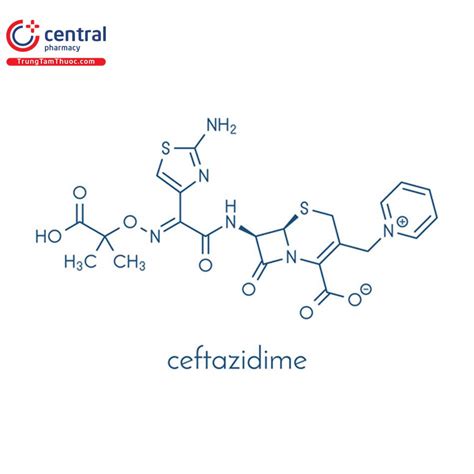 Thuốc Ceftazidim Chỉ định Và Lưu ý Sử Dụng Dược Thư Quốc Gia 2022