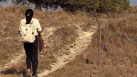 🔑 Reset Your Fair Future Password