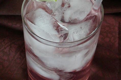 Seductive Gin Tonic Recipe Food Com