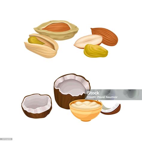 아몬드와 피스타치오 코코넛 벡터 세트를 곁들인 껍질의 견과류 과일에 대한 스톡 벡터 아트 및 기타 이미지 과일 귀여운 껍데기 Istock
