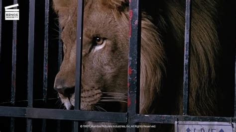 Donnie Brasco Un Lion Vivant En Cadeau Clip Hd Youtube
