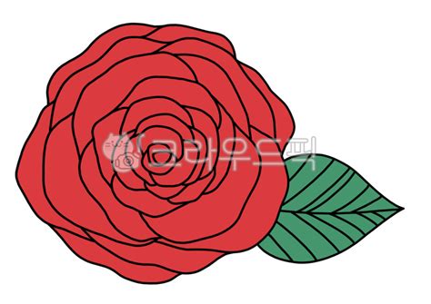 장미 장미꽃 어린이집 유치원 봄꽃 사진 이미지 일러스트 캘리그라피 Raoni작가