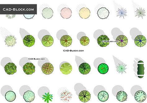 Trees And Plants Free CAD Blocks DWG Files Download