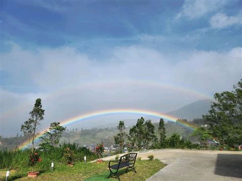 Michelle Yong Cfp L Acc L Nlp On Linkedin We All Deserve Great Luck