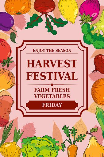 수확 축제 포스터 가을 과일과 야채 익은 육즙 손으로 그린 유기농 제품 가을 벡터 복고풍 빈티지 배너 일러스트 전단지 카드 10월에 대한 스톡 벡터 아트 및 기타 이미지