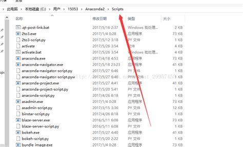Pip Report Failed To Create Process Programmerah