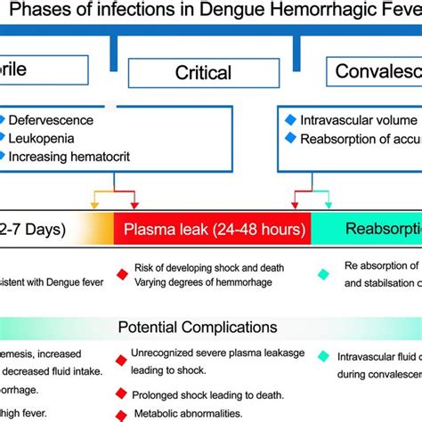 Various Dengue Diagnostic Techniques And Their Clinical Applications Download Scientific Diagram