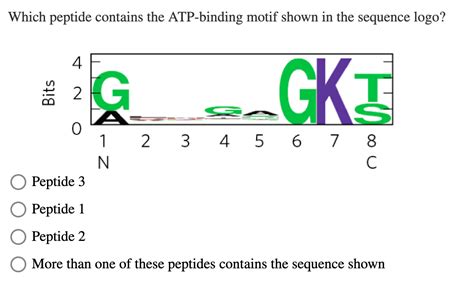 Solved Which Peptide Contains The Atp Binding Motif Shown In