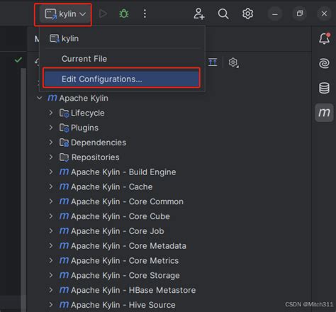 【环境搭建】使用idea远程调试apache Kylinidea怎么远程debug服务器docker中java项目 Csdn博客