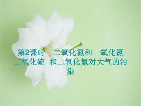 Ppt Word