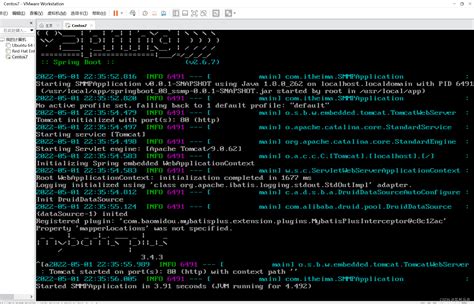 Linux启动一个springboot的web项目（图文讲解）在linux上怎么使用root账户来运行springboot项目 Csdn博客