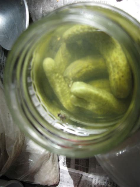 Mogelrally » Tag 10(2), Mo Vodka, mo Problems