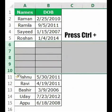 Add Multiple Rows In Excel Trick Msexceltipsandtricks Youtube