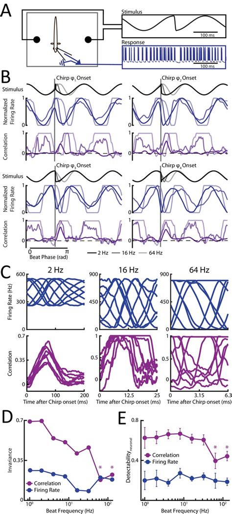 Figures And Data In Stimulus Background Influences Phase Invariant Coding By Correlated Neural