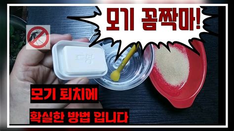 모기 퇴치 ㆍ모기 박멸 한방에 박멸 경옥TV YouTube