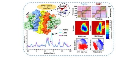 Journal Of Biomolecular Structure And Dynamics Vol 42 No 11 Current Issue