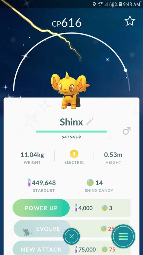 Shiny Shinx Album On Imgur