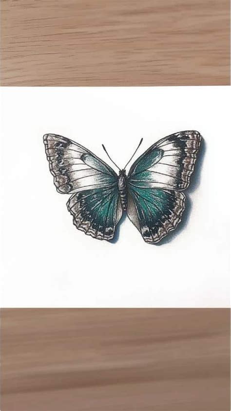 Easy And Beautiful 20 Colored Pencil Butterfly Drawing Ideas To Try