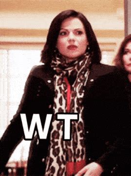 Wtf Gif GIF Wtf Gif Discover Share GIFs