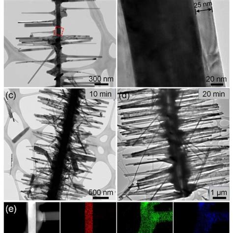 Tem Analysis Of 3d Hierarchical Auzno Nanostructures A Tem And B Download Scientific