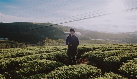 무료 이미지 애정 귀엽다 초상화 경치 아름다운 여행 행복 미술 자연스러운 소년 남자 산악 지형 고지 하늘 언덕 역 들 농업 아침 나무