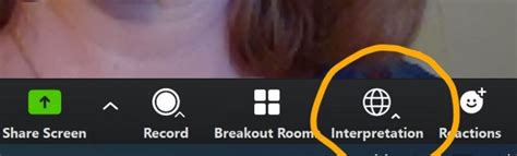 Zoom Interpretation Inserra Chair Montclair State University